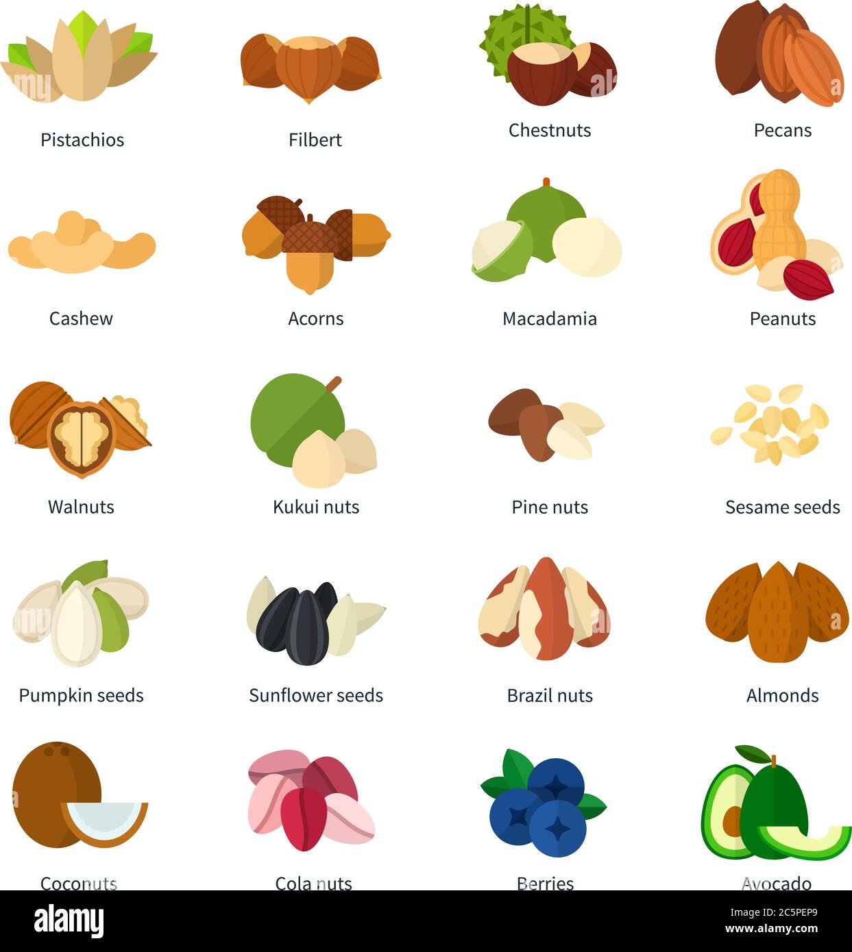 Set of Nuts icons flat vector illustration Stock Vector Image & Art - Alamy
