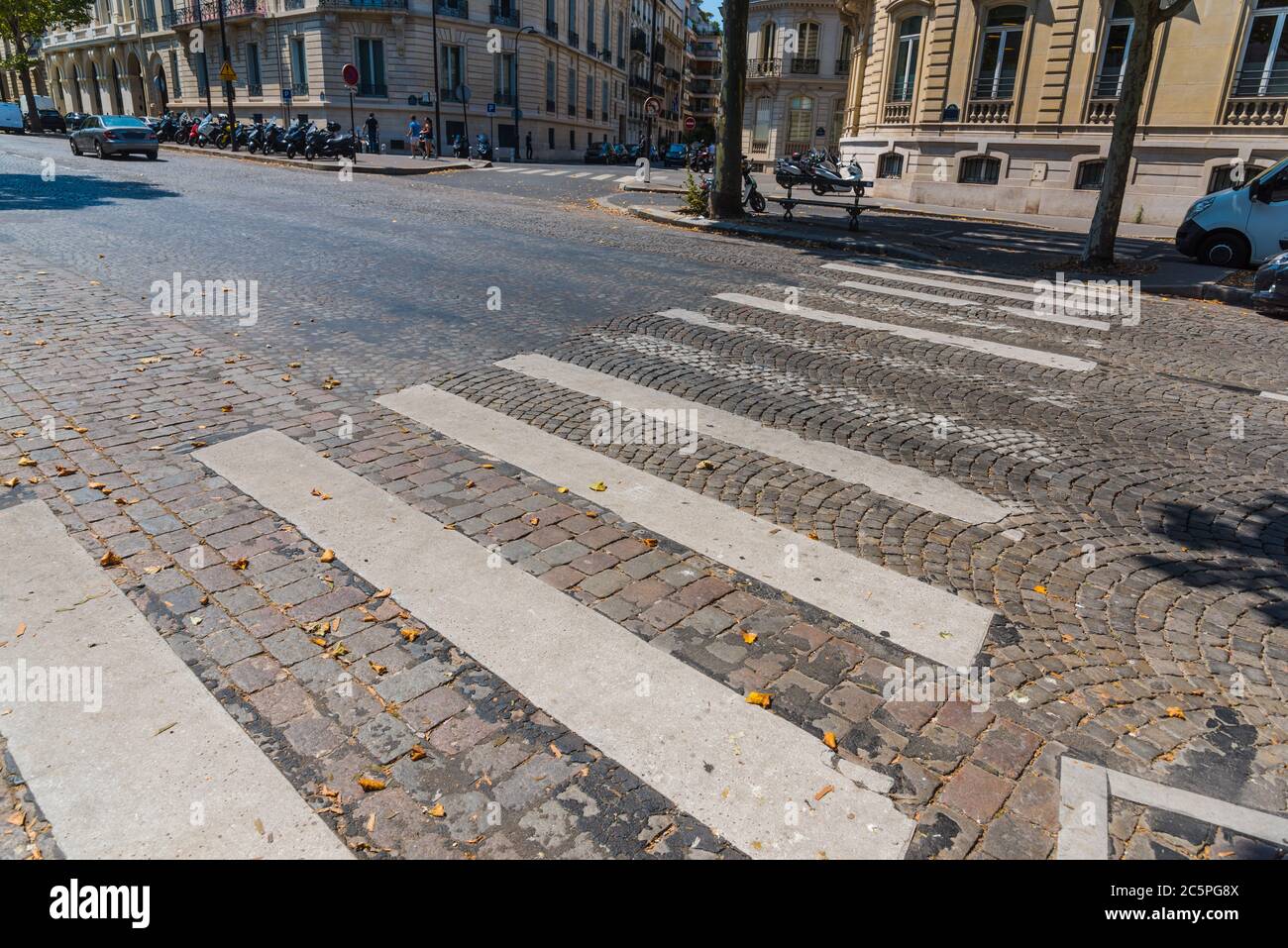 Pedestrian crossing on a paved avenue in Paris, France Stock Photo - Alamy