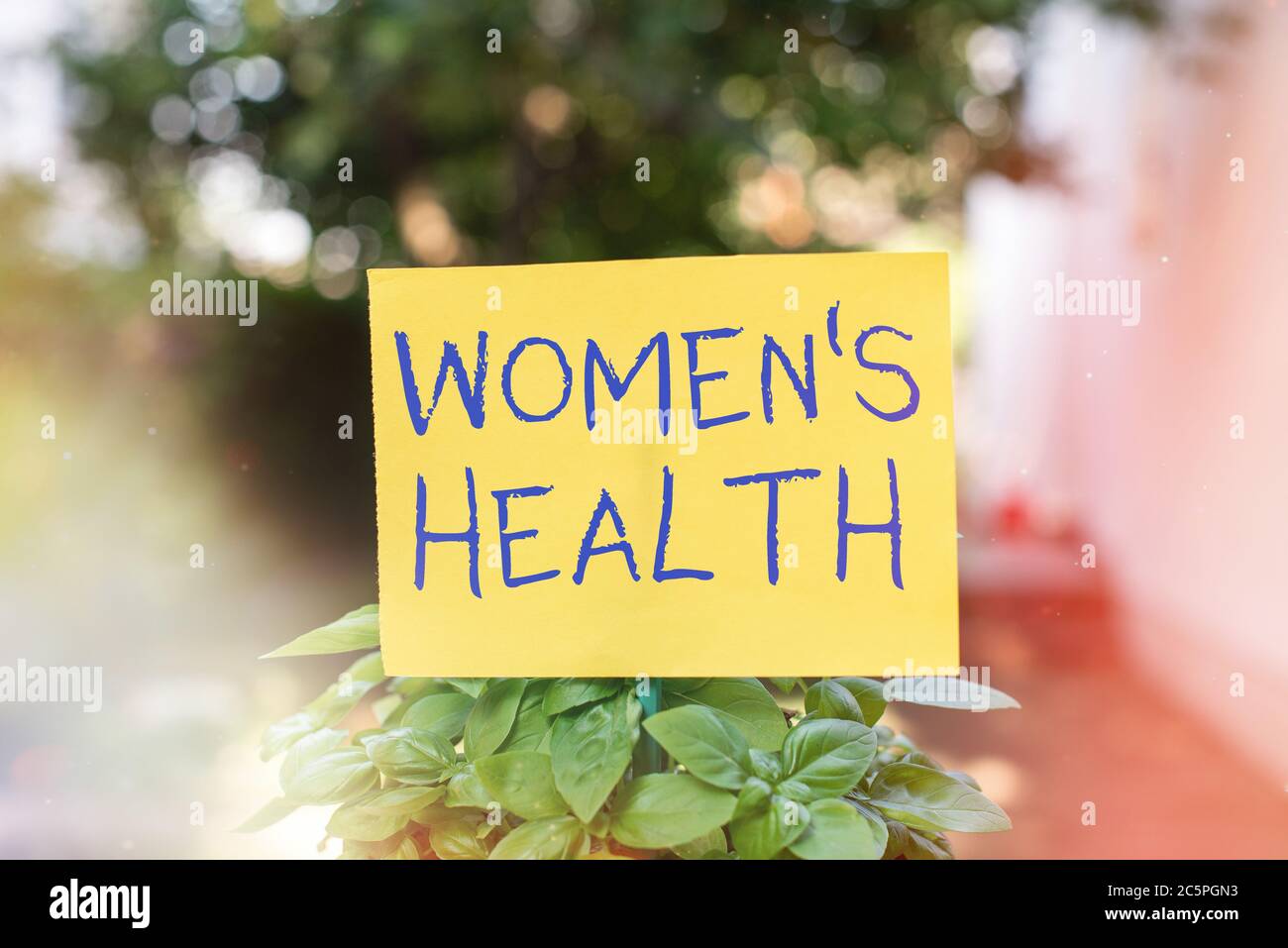 Handwriting text writing Womens Health. Conceptual photo treatment and ...