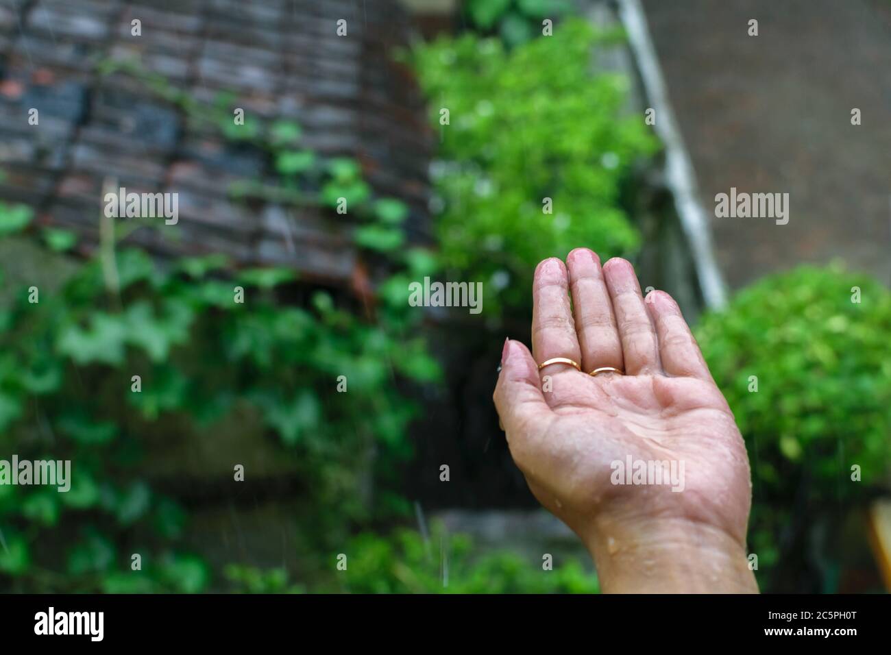 Isolated wet human hand with rain drops falling on it Stock Photo - Alamy