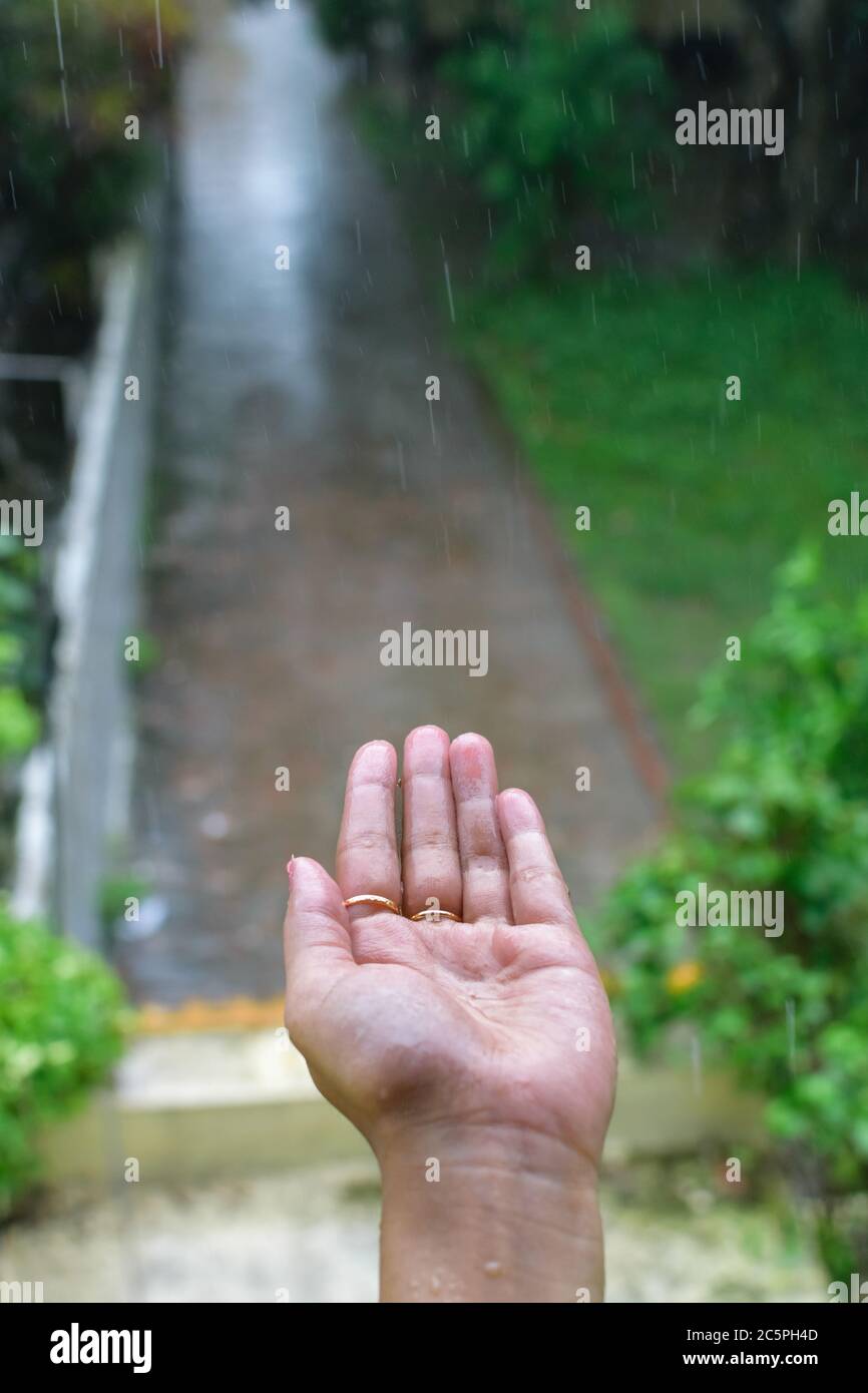 Raindrops Falling On My Hand