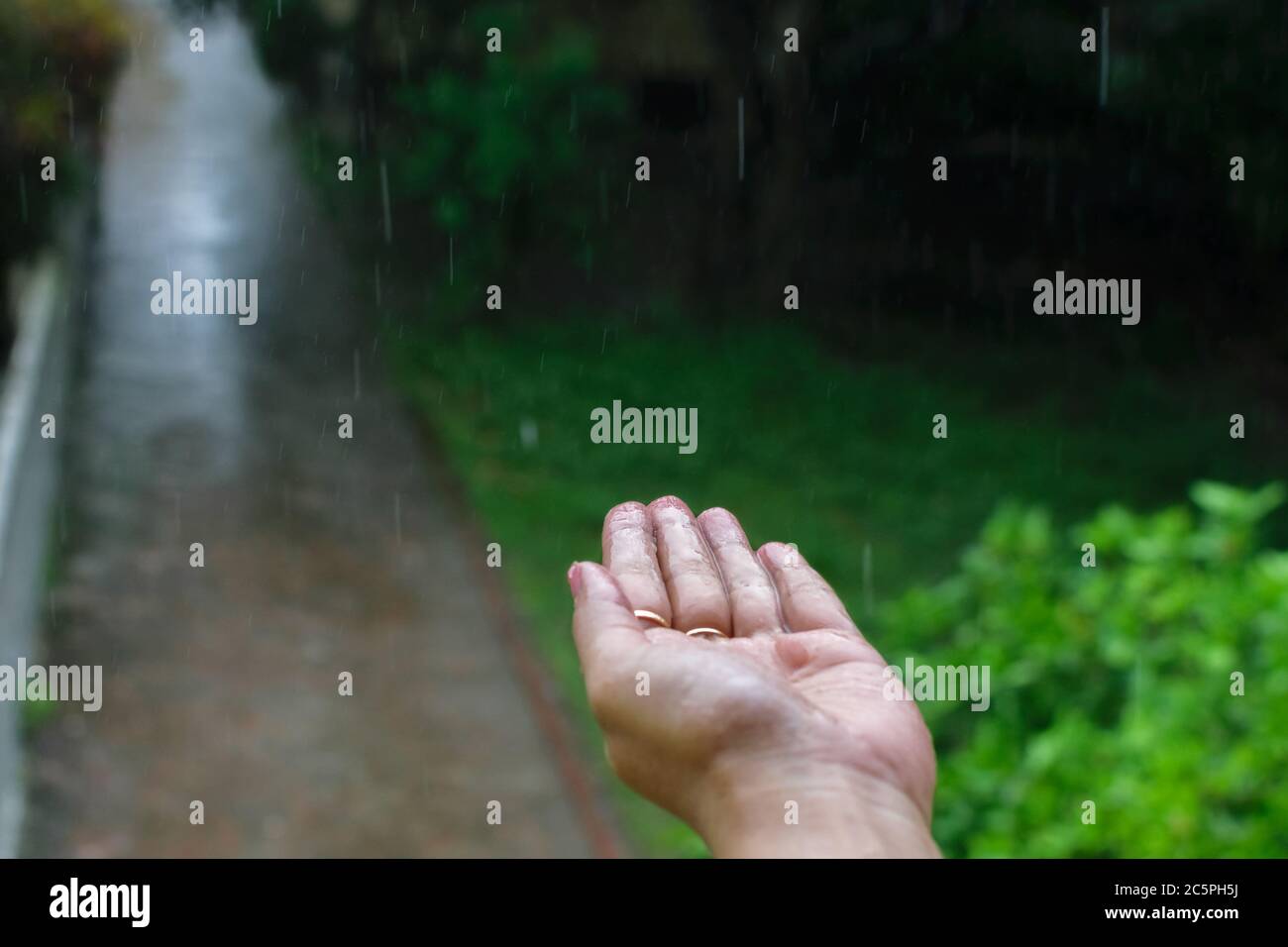 Isolated wet human hand with rain drops falling on it Stock Photo - Alamy
