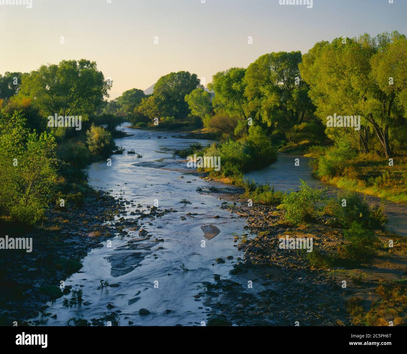 San Pedro Riparian National Conservation Area Cochise CO AZ / OCT AM ...
