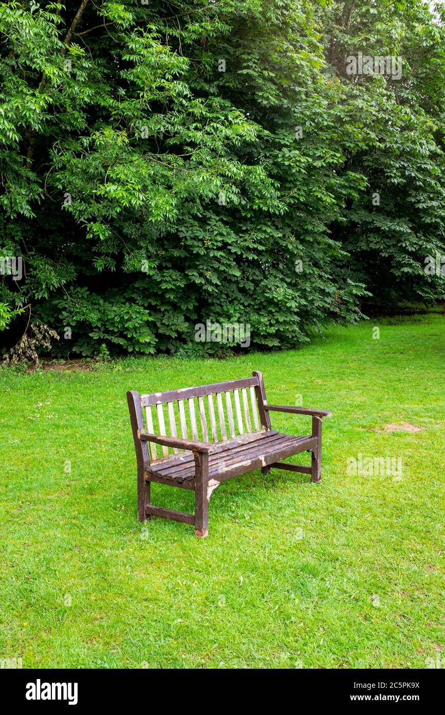 Empty bench in park hi-res stock photography and images - Alamy