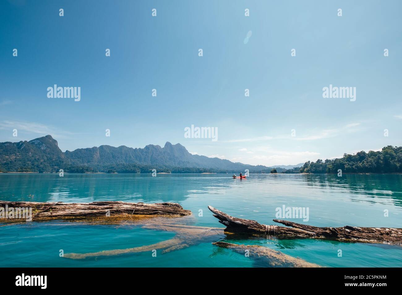 Old floating tree logs on the turquoise surface of eco lake in Thailand ...