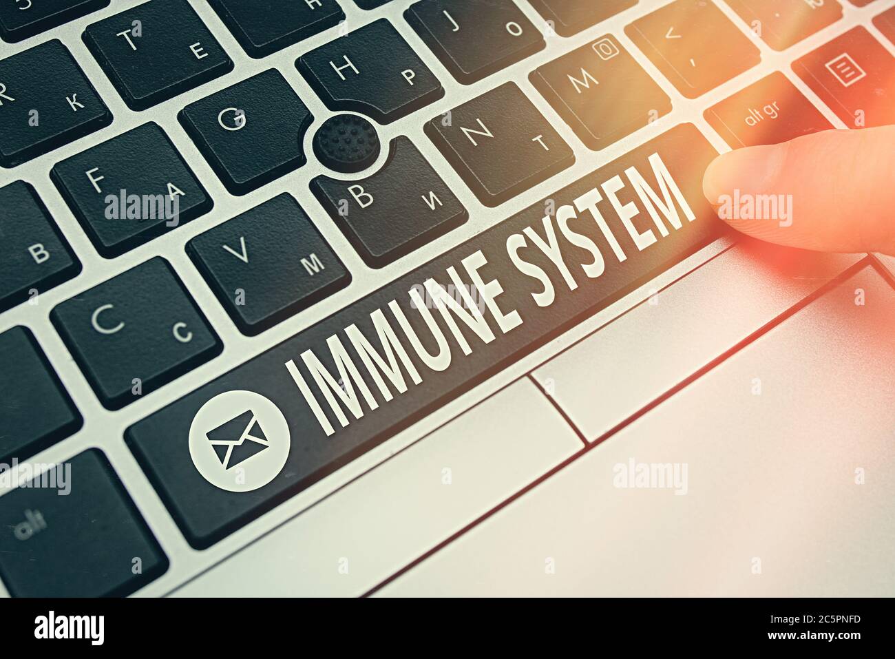 Conceptual hand writing showing Immune System. Concept meaning a bodily ...