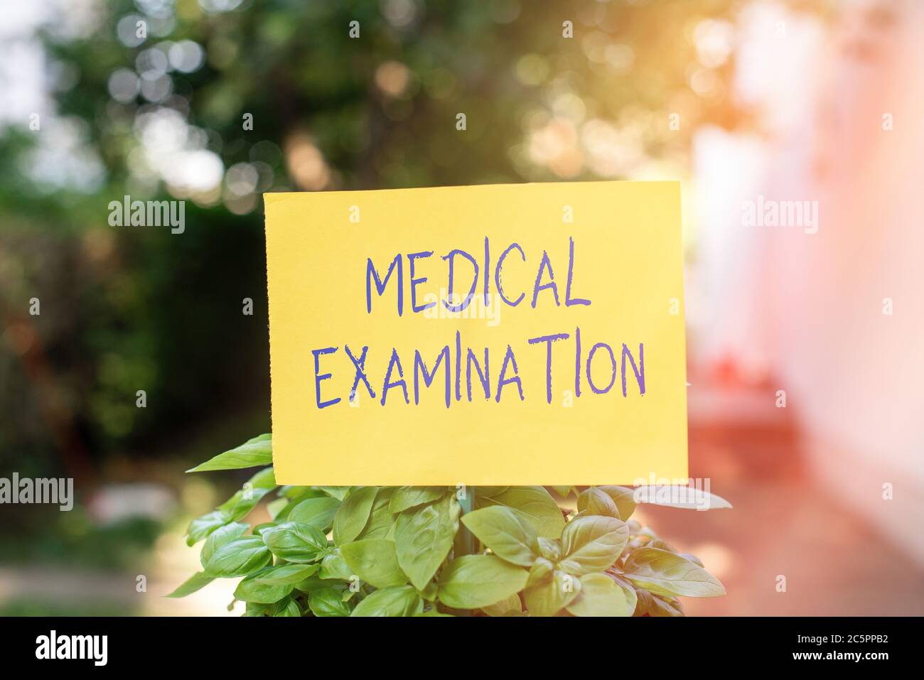 Handwriting text writing Medical Examination. Conceptual photo the ...