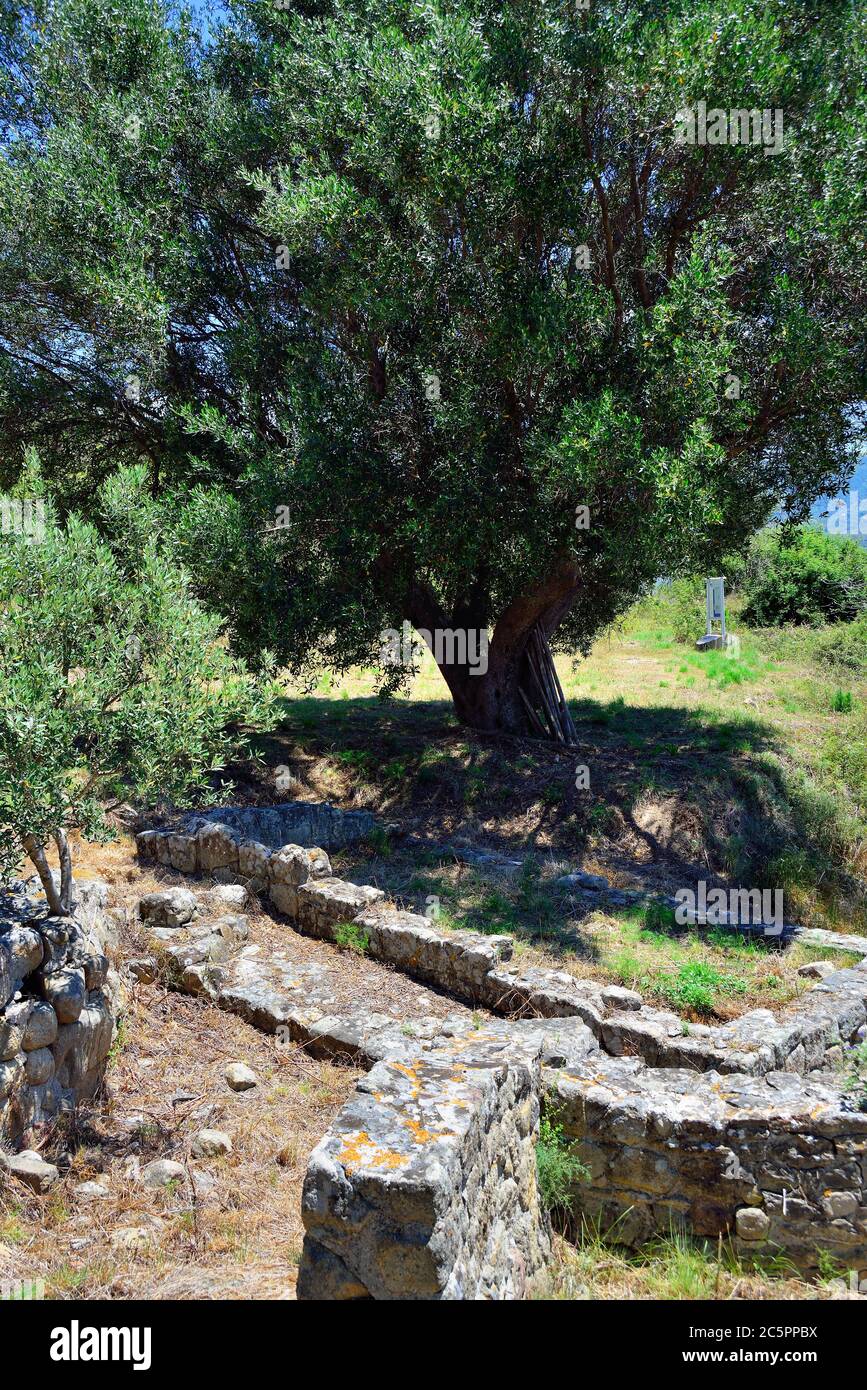 Road to velia acropolis hi-res stock photography and images - Alamy