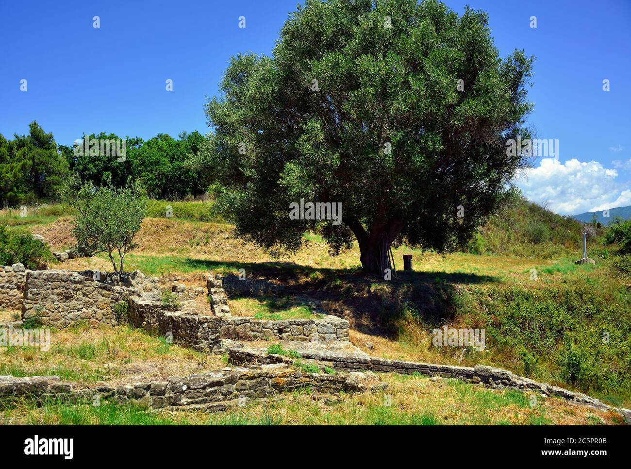 Road to velia acropolis hi-res stock photography and images - Alamy