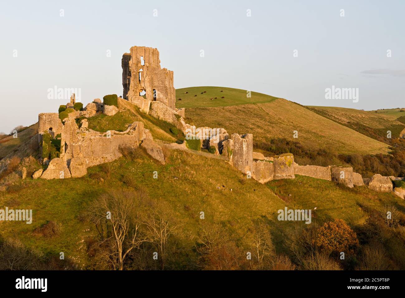 An autumnal view of the medieval Corfe Castle in Dorset at dusk. A ...