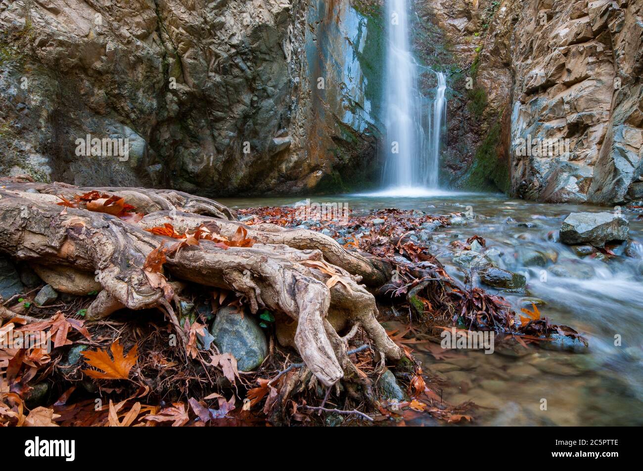Waterfall splashing on a small lake with beautiful yellow leaves and ...