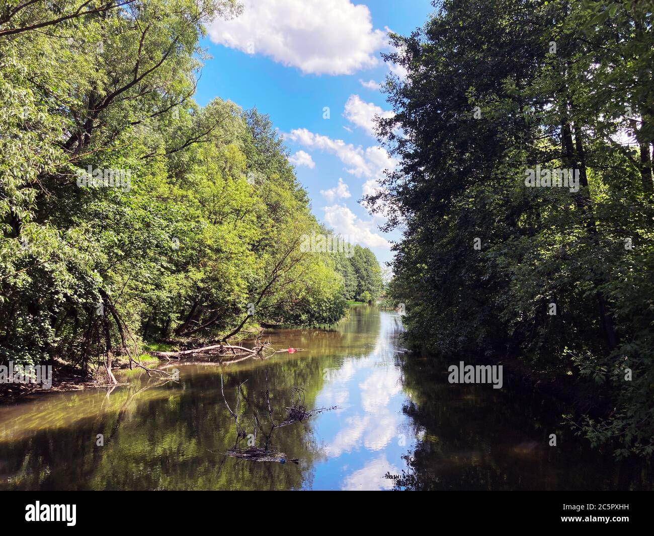 Beautiful landscape of river with green trees. Water in sunny weather ...