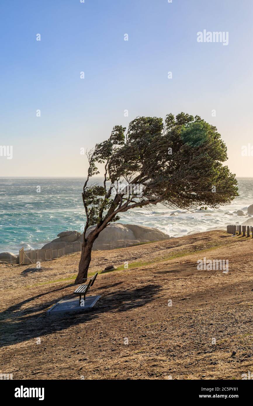 Windswept sunny people hi-res stock photography and images - Alamy