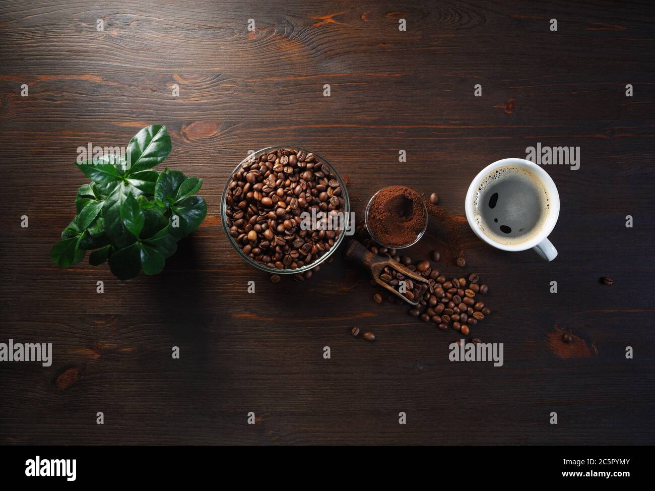 Brewing coffee background. Coffee cup, roasted coffee beans, plant and ...