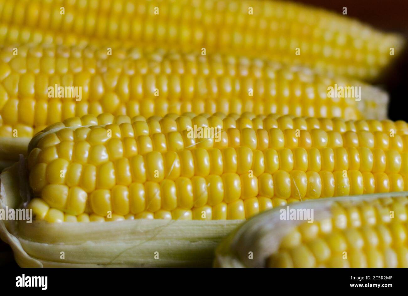 Yellow corn hi-res stock photography and images - Alamy