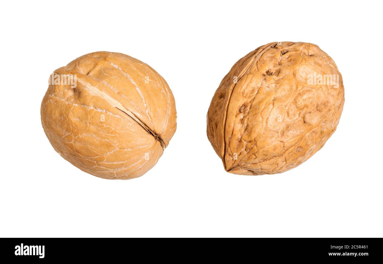 Walnuts isolated on white background. Macro of nuts. Nuts and seeds of ...