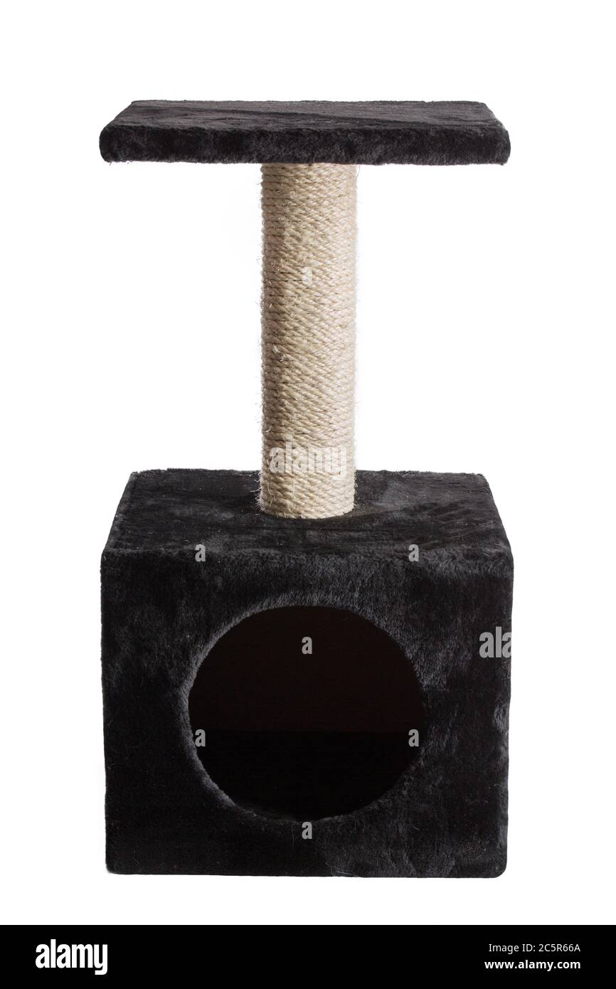 Small cut-out black cat tree on a white background Stock Photo - Alamy