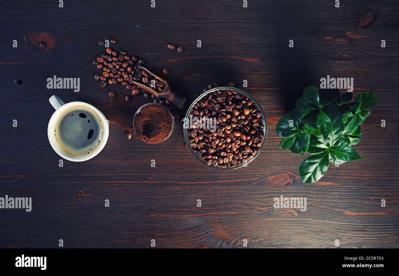 Photo of coffee Ingredients. Coffee cup, coffee beans, plant and ground ...