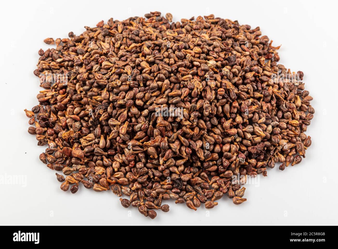 Grape plant seeds. Raisins and grape seeds. Close-up raw grape seeds ...