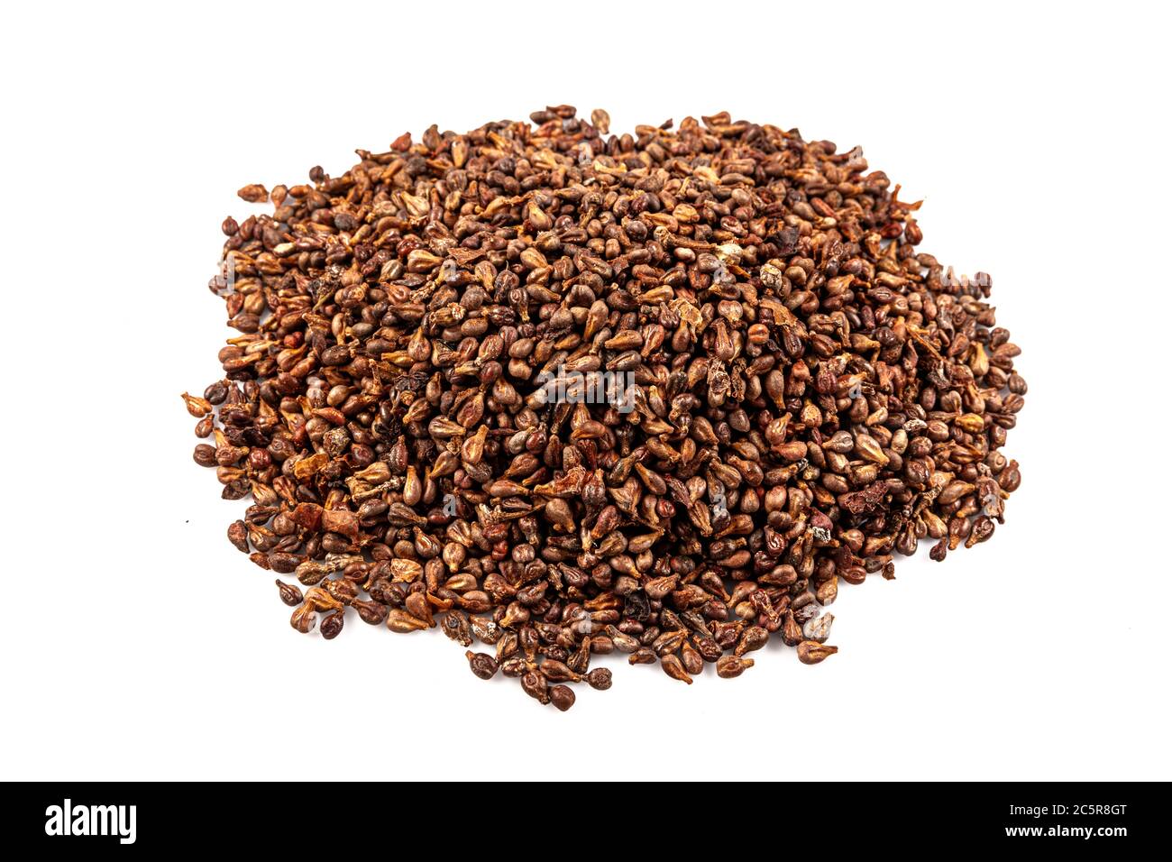Grape plant seeds. Raisins and grape seeds. Close-up raw grape seeds ...