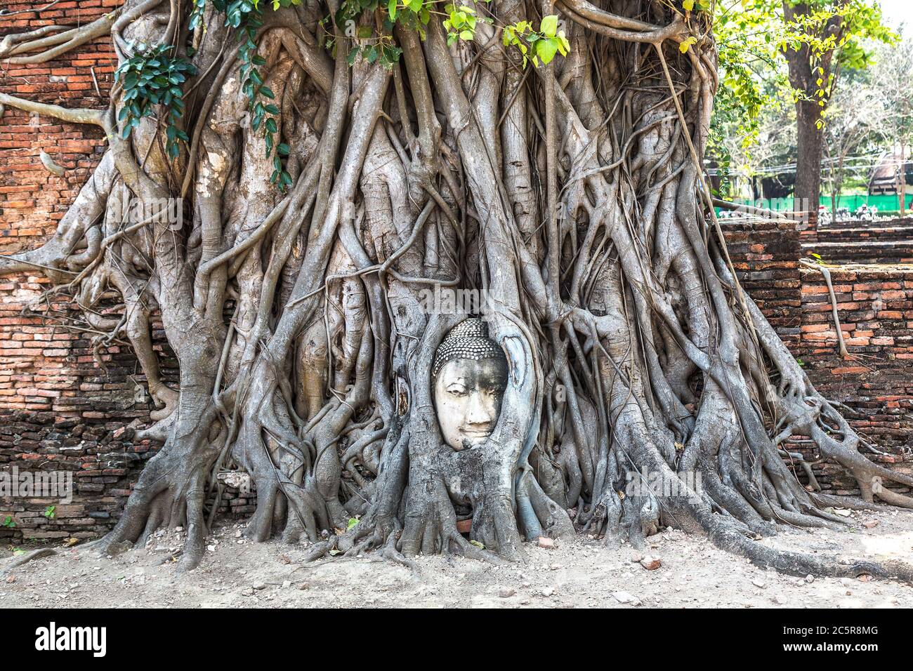 Ayutthaya Head of Buddha statue in tree roots, Wat Mahathat temple ...