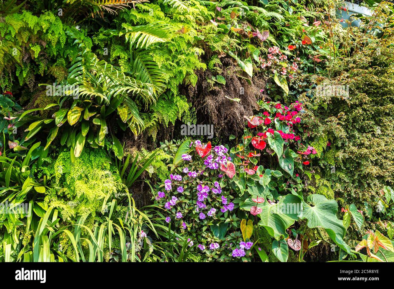 Vertical garden with tropical green leaf and flowers. Nature background ...