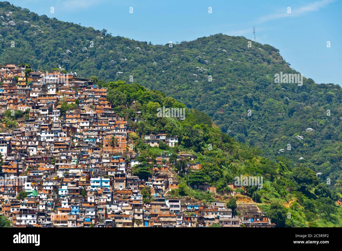 Red Brick Houses in Favela on the Hill in Rio de Janeiro City, Brazil ...