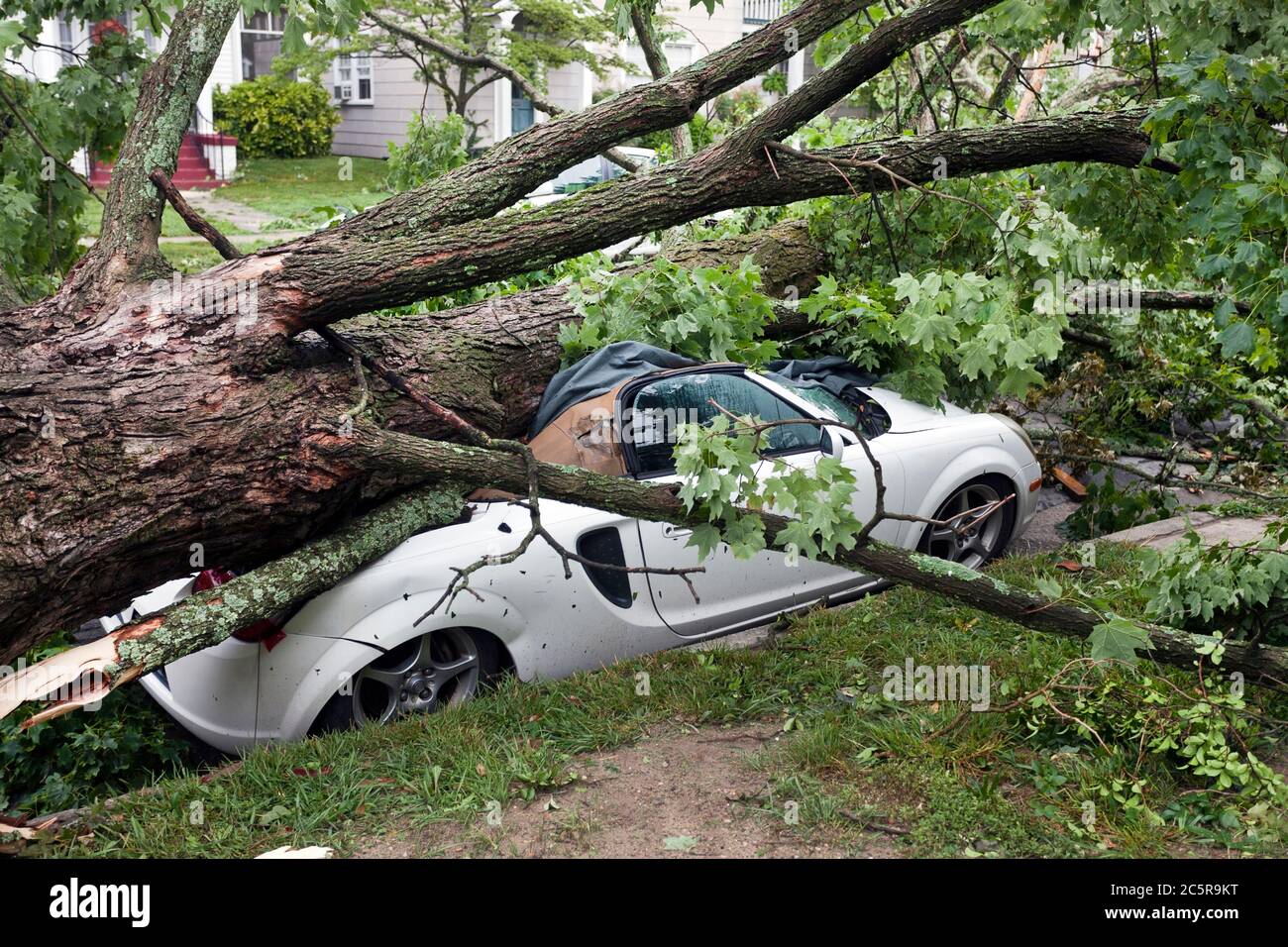 Neighborhood storm damage aftermath. Tree crushes car Stock Photo - Alamy