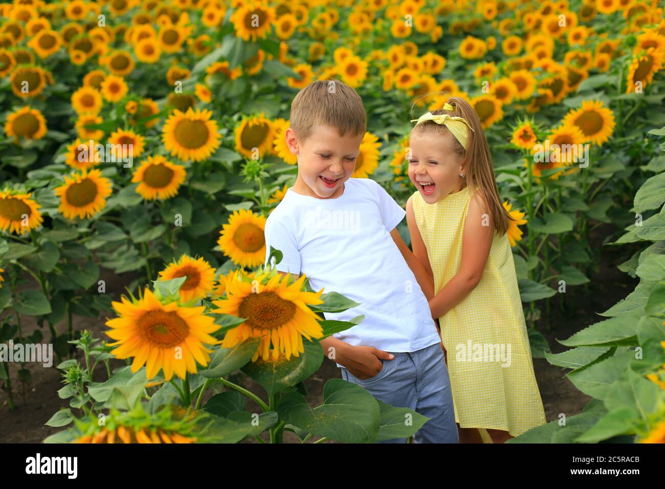 Two children are in the field with sunflowers Stock Photo - Alamy