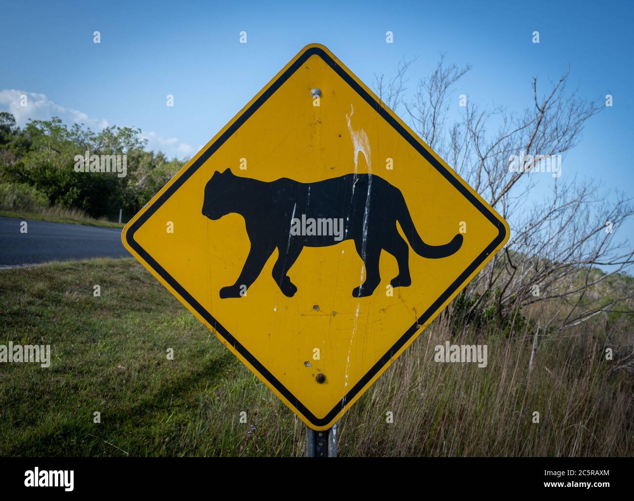 Florida panther crossing sign hi-res stock photography and images - Alamy
