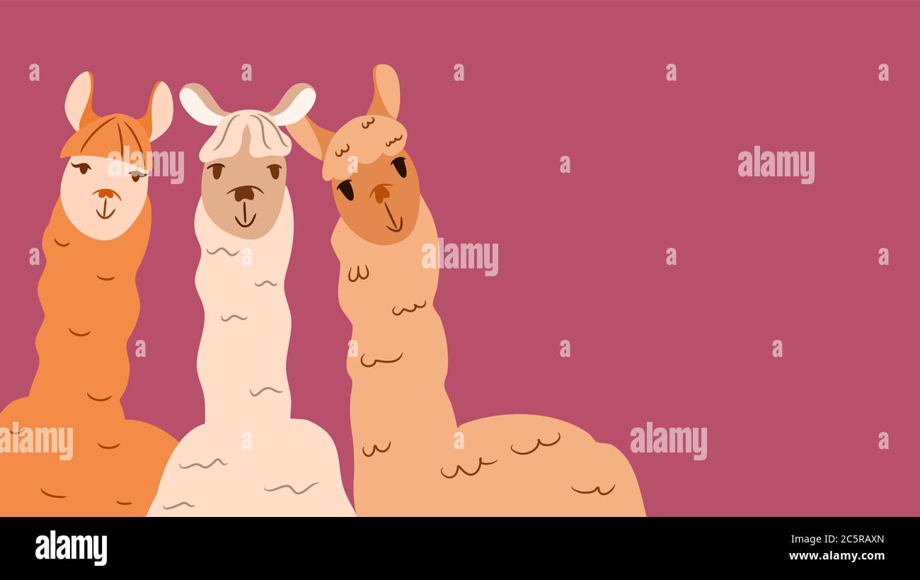 Cute 3 Llamas with different brown color smiling on pink background ...