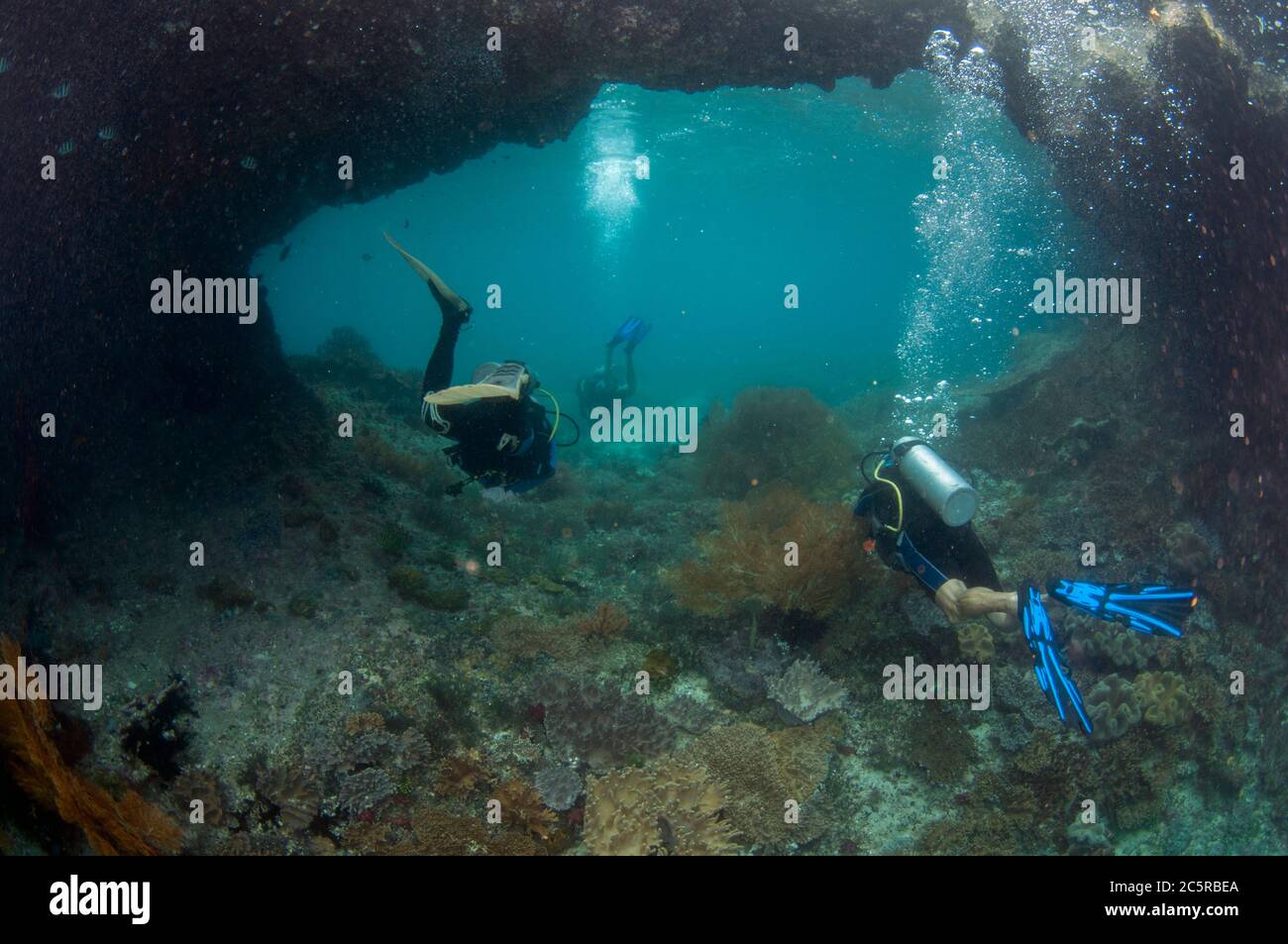 Divers diving through arch, Batu Rufos dive site, Penemu Island ...