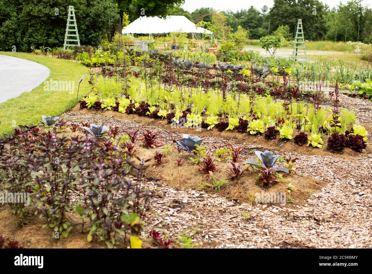 American vegetable garden hi-res stock photography and images - Alamy