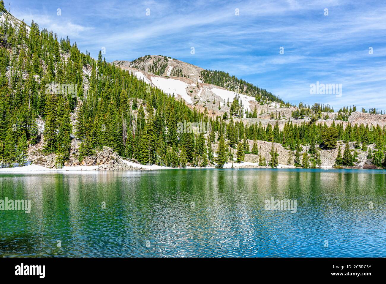 Pine tree forest plants and green alpine lake water reflection on ...