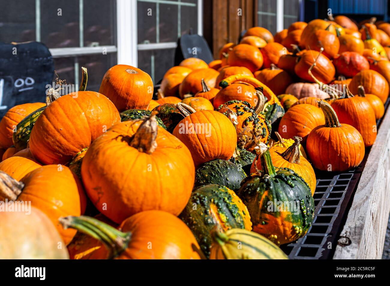 Closeup of orange yellow and green decorative carving pumpkin squash on ...