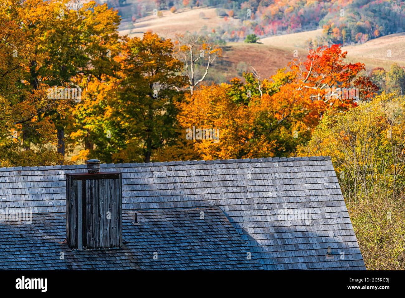 Log rolling forest hi-res stock photography and images - Alamy