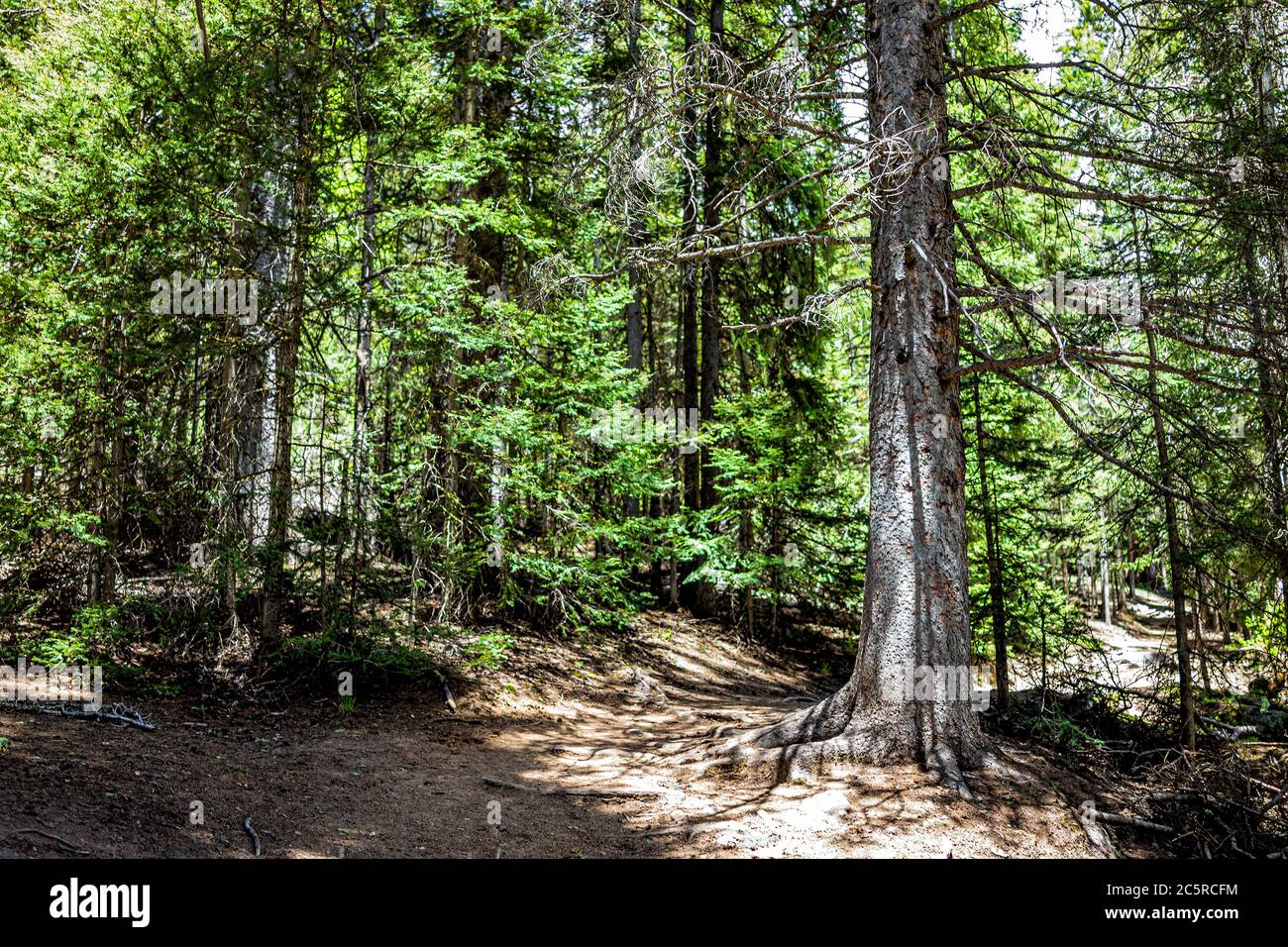 Santa Fe National Forest Sangre de Cristo mountains in New Mexico with ...