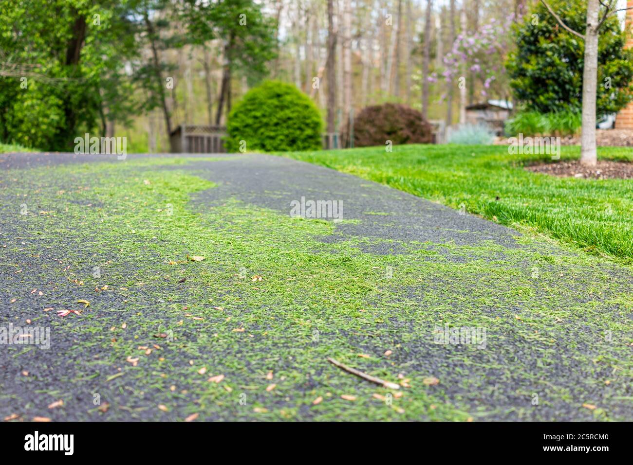 Northern Virginia colorful green spring or summer in Fairfax County ...