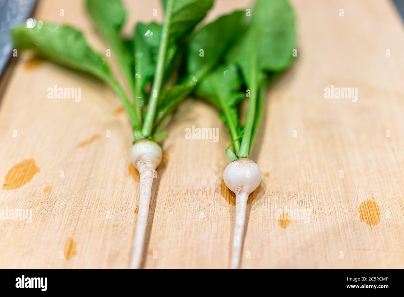 Radish small organic harvest gardening hi-res stock photography and ...