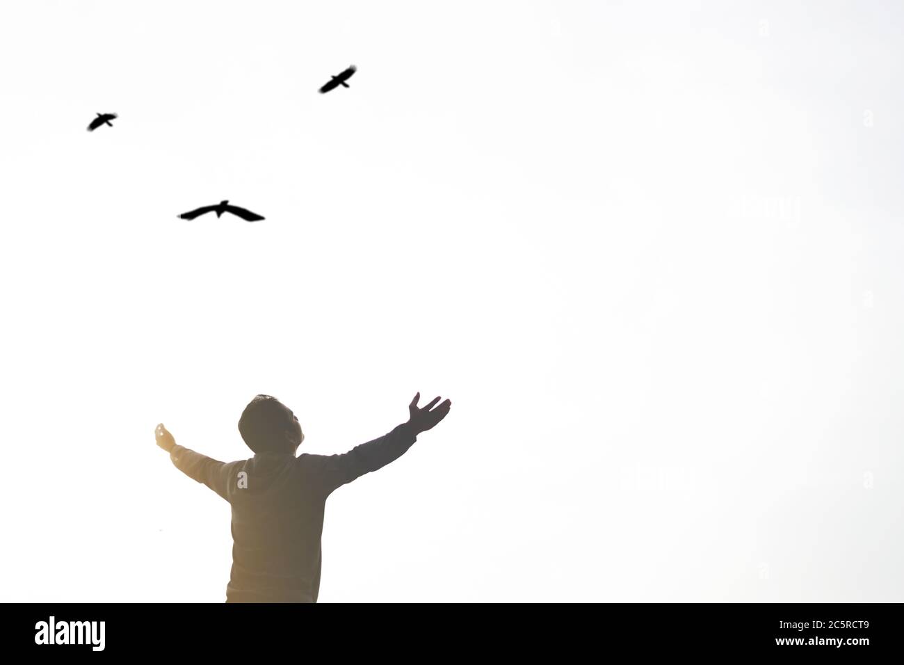 Man rise hands up to sky looking at birds fly through metaphor freedom ...