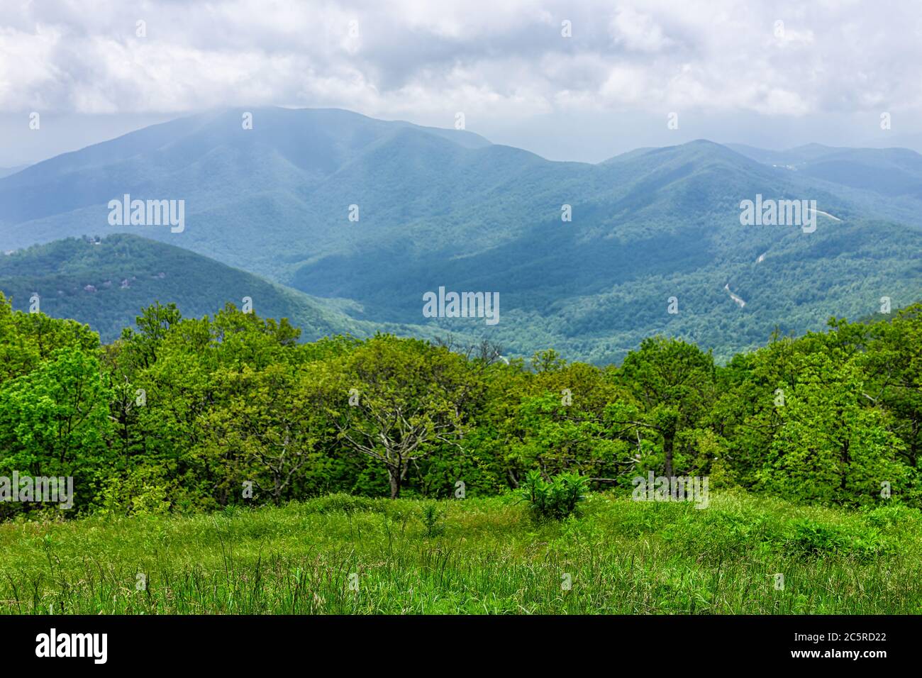 Devil's Knob Overlook green grass field meadow at Wintergreen resort ...