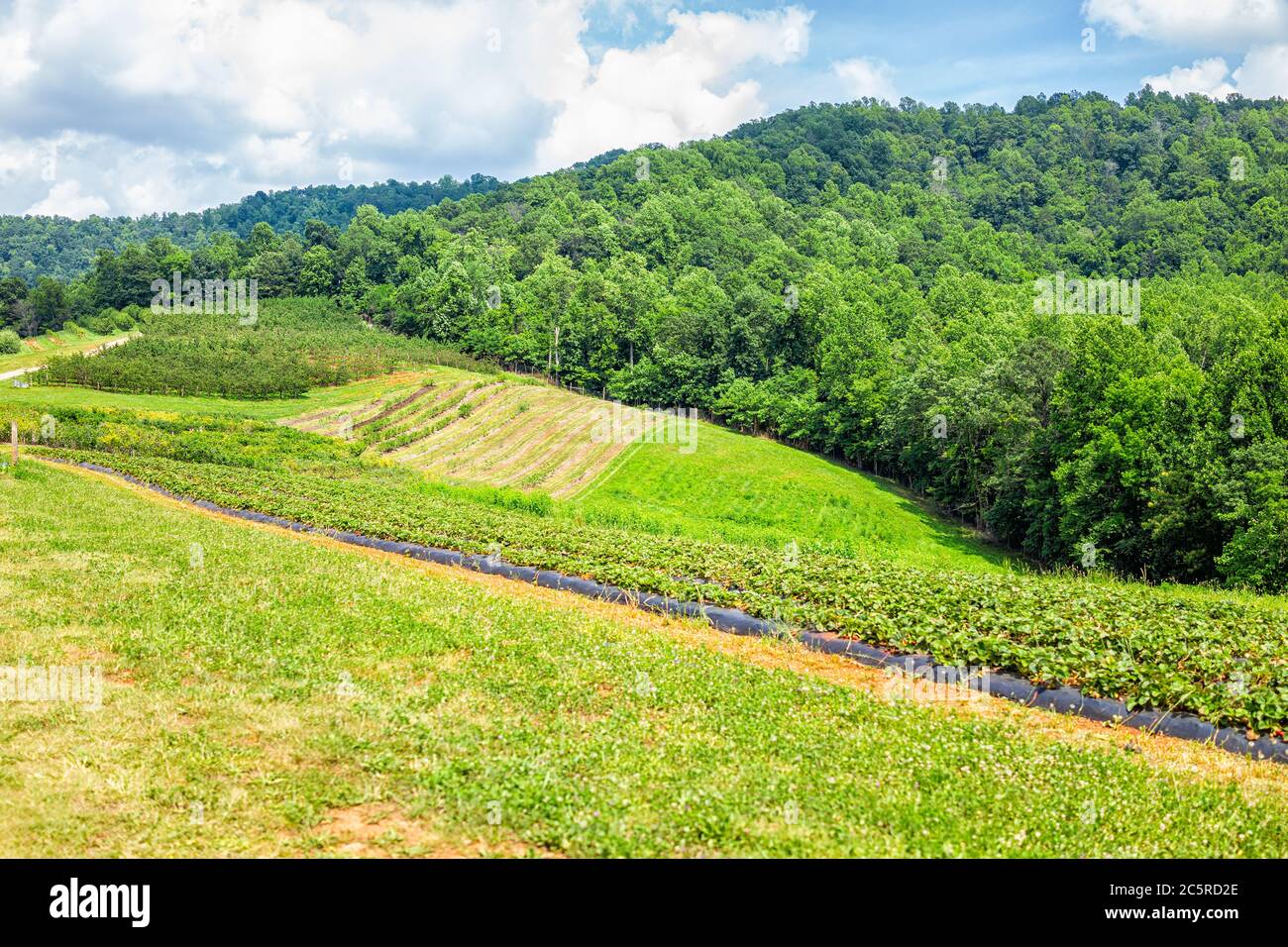 Shade cloth hi-res stock photography and images - Alamy