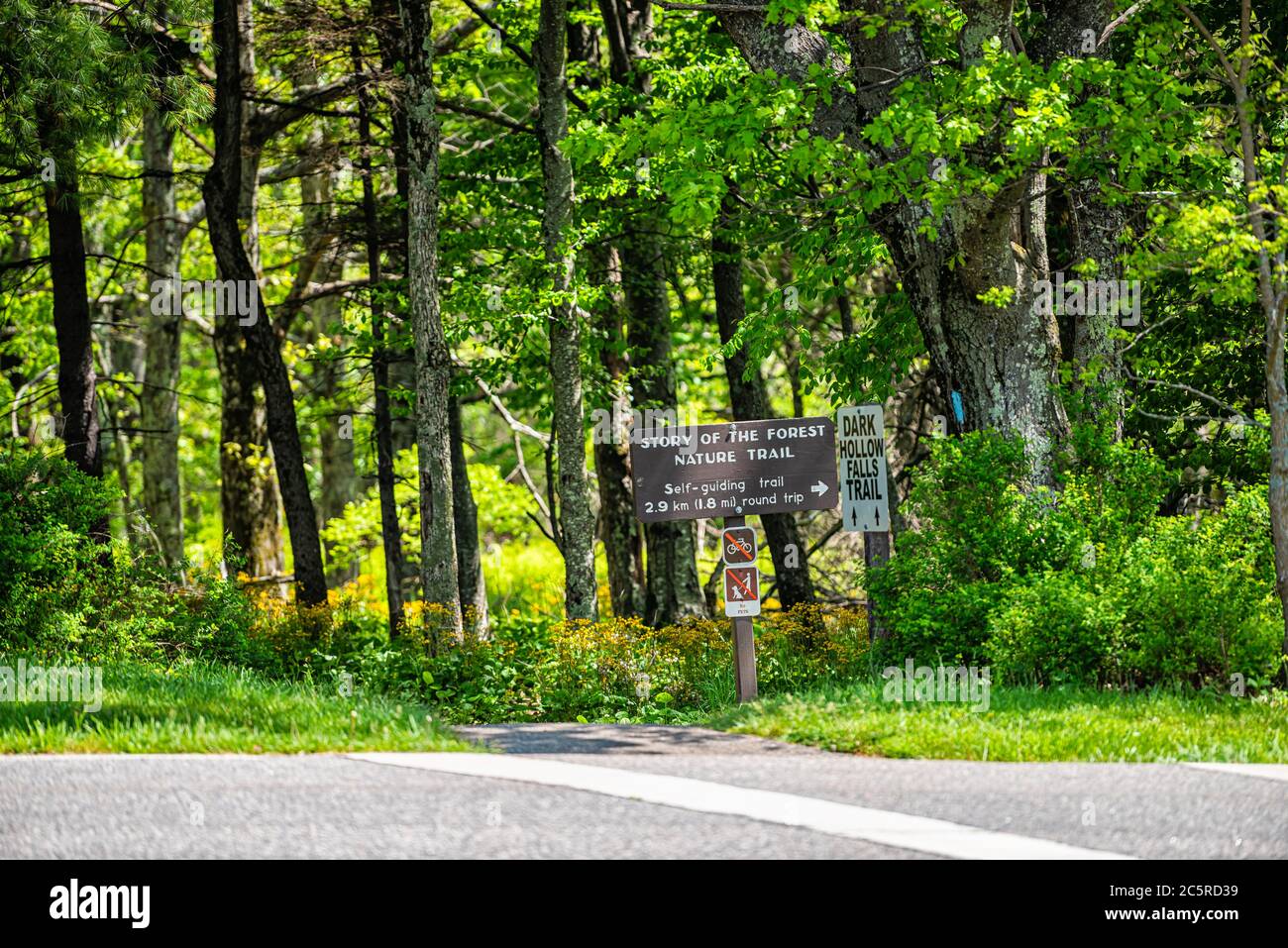 Road with direction sign in Shenandoah Blue Ridge appalachian mountains ...