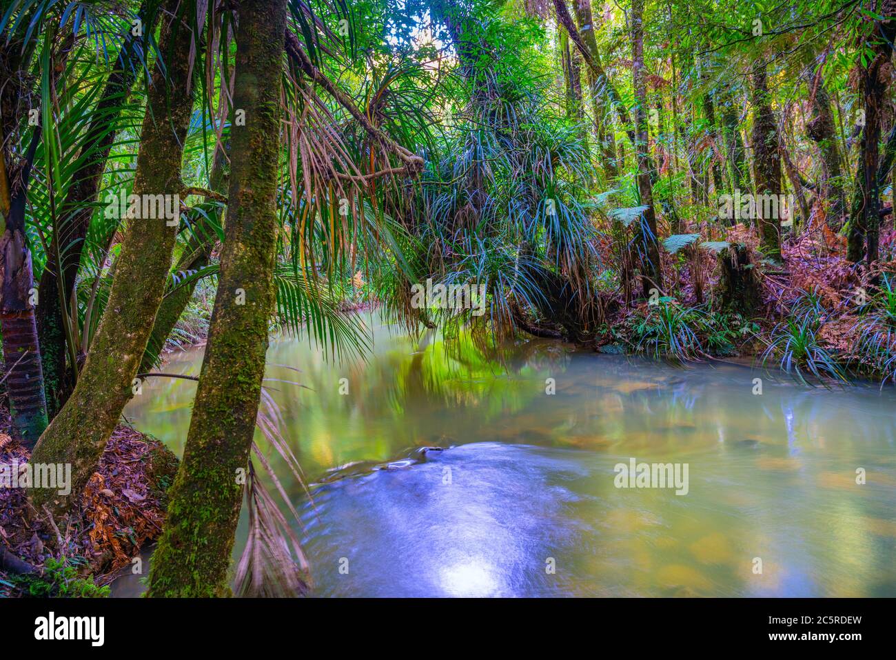 Pakoka river environment hi-res stock photography and images - Alamy