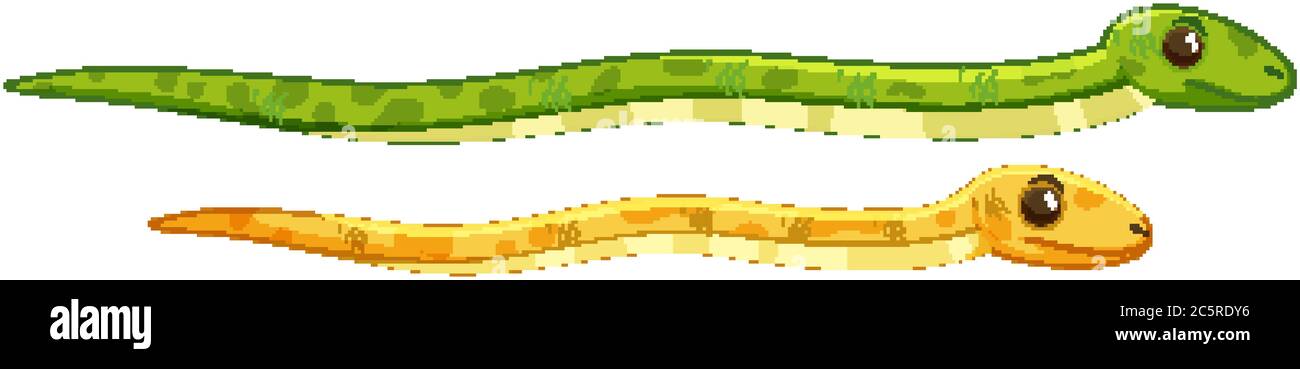 Two different cute snake isolated on white baclground illustration ...