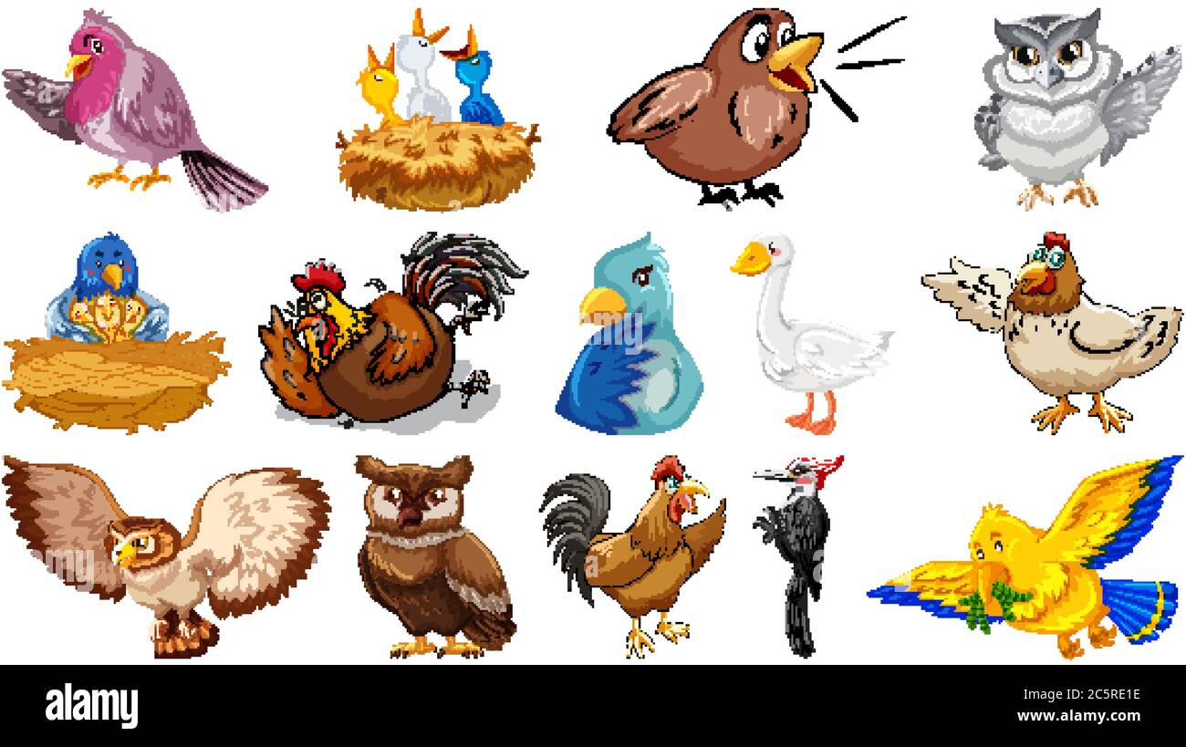 Set of different birds cartoon style isolated on white background ...