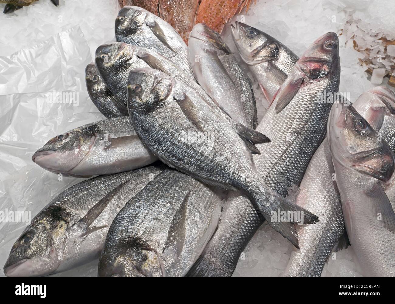Selection of different fresh fish on display at the market in Barcelona ...