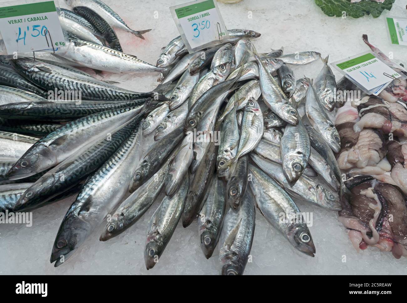 Fresh fish on display at the market in Barcelona Stock Photo - Alamy