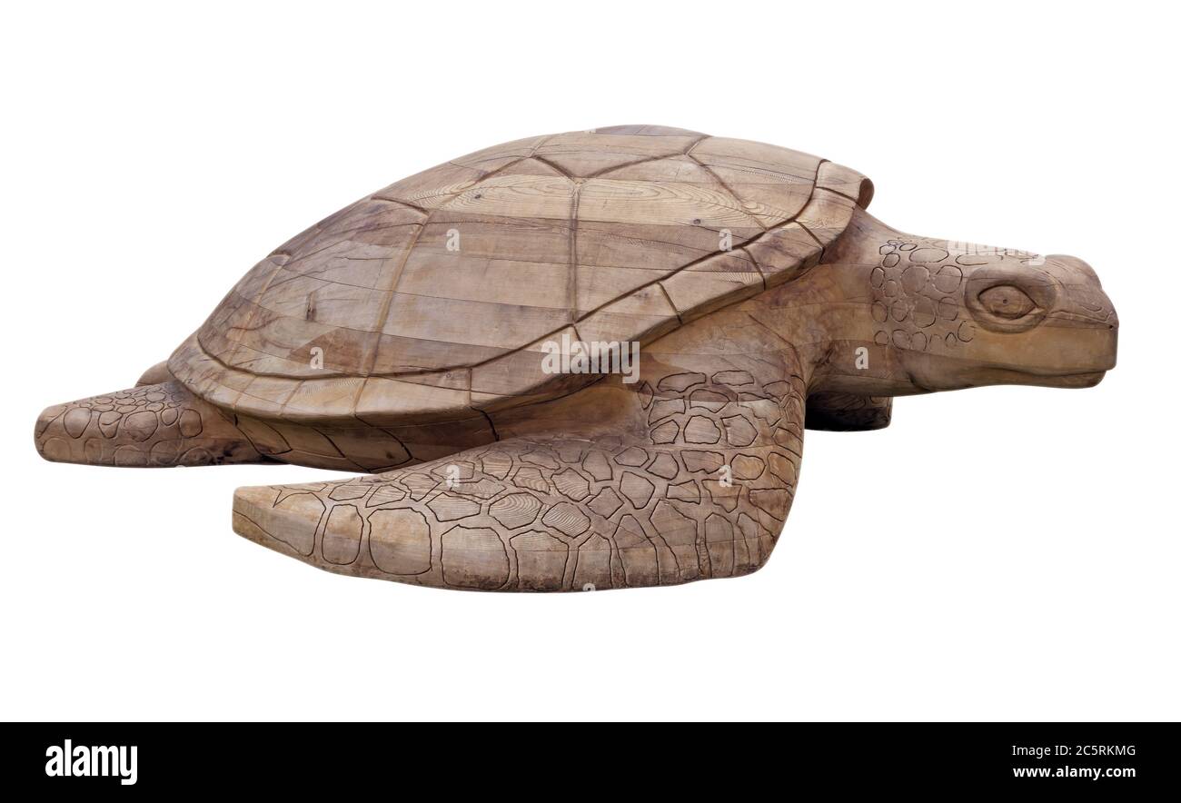 Wooden sea turtle isolated on white. Clipping path included Stock Photo ...