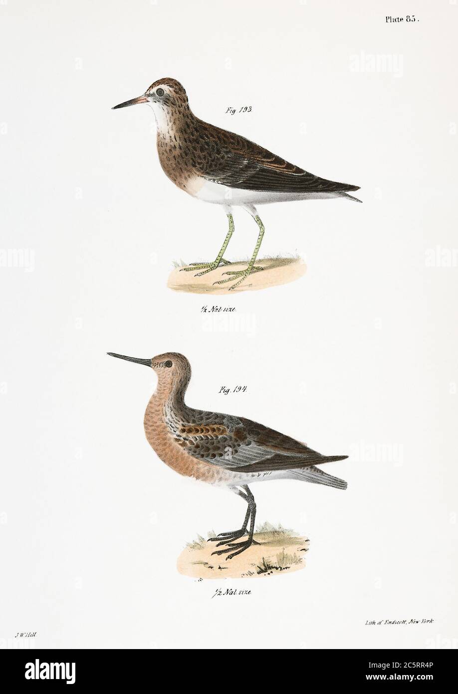 194 red hi-res stock photography and images - Alamy